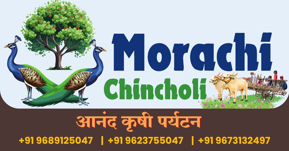 Contact: +91 9689125047 | Anand Krushi Paryatan | One Day Trip Near ...